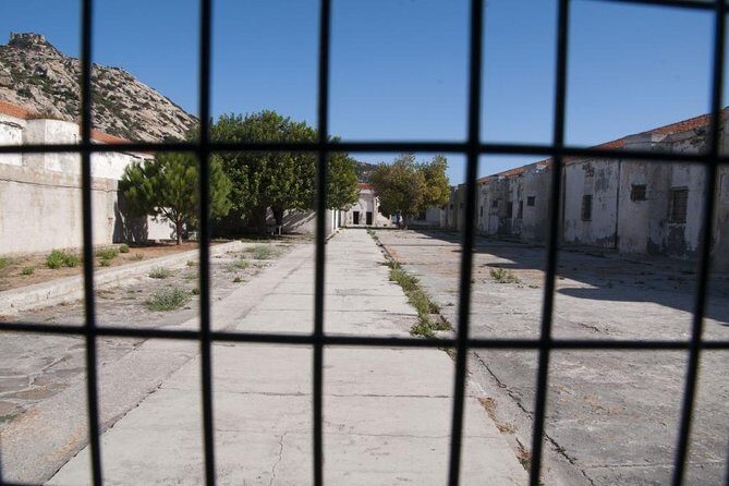 ASINARA ISLAND-TOUR full day Minivan in the National Park - The Practical Side: Pricing and Whats Included