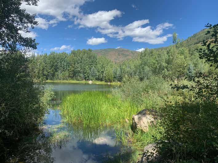 Aspen: Guided Light Hike with Roaring Fork River Views - Why This Tour Offers Great Value