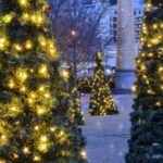 Atlanta: Christmas Walking Tour - Who Should Consider This Tour?