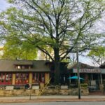 Atlanta: Food & Cocktail Tour - Why This Tour Is a Great Choice