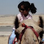ATV Giza Pyramid Tour with Camel Ride and Lunch - Final Thoughts: Is This Tour Worth It?
