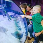 Auburn Hills: Legoland and Sea Life Aquarium Combo Ticket - Authentic Visitor Insights