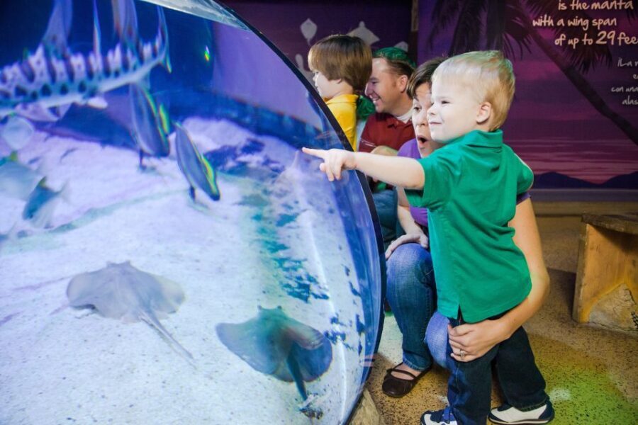 Auburn Hills: Legoland and Sea Life Aquarium Combo Ticket - Authentic Visitor Insights