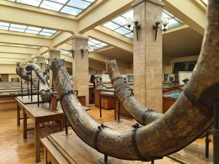 Audio Guide for Museum Paleontology and Historical Geology - What Do Visitors Say?