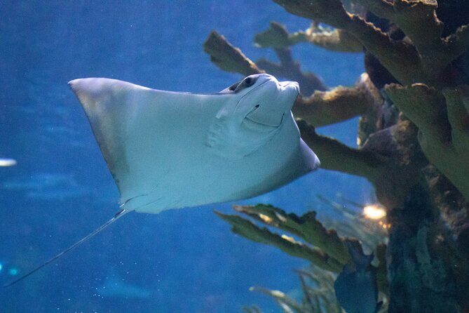 Audubon Aquarium & Insectarium Ticket - What the Reviews Say