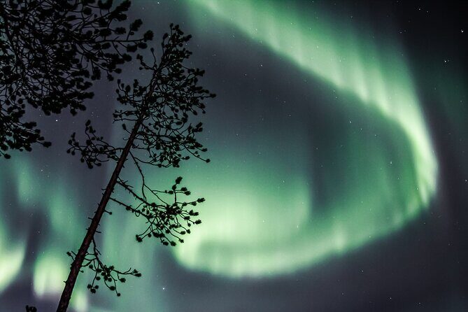 Aurora Hunting Photo Tour from Rovaniemi with Pickup - Who Will Love This Tour?