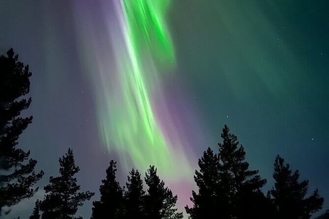 Aurora Hunting with Reindeer Caravan - FAQs