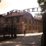 Auschwitz - Birkenau Best Value Shared Tour from Krakow with Tickets - How It Compares to Other Options