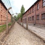 Auschwitz-Birkenau: Fast-Track Ticket & Guided Tour No Transfers - Final Words on the Auschwitz-Birkenau Guided Tour