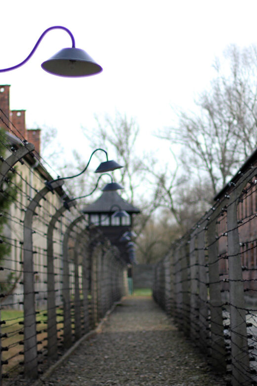 Auschwitz-Birkenau Full-Day Tour from Lodz by Private Car - Detailed Breakdown of the Itinerary