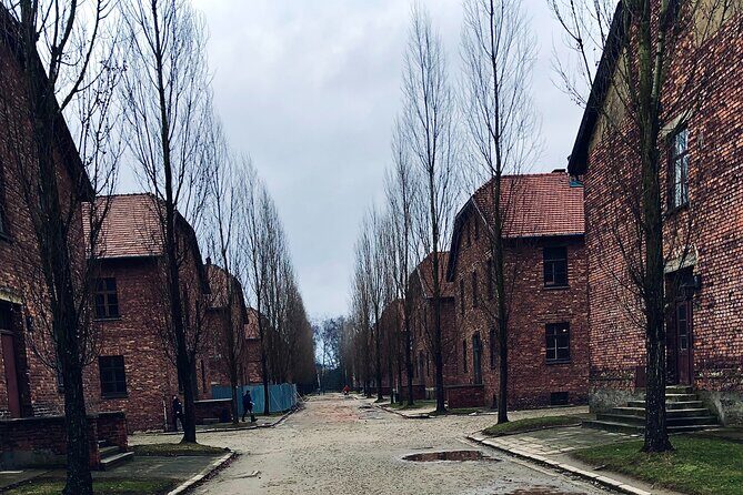 Auschwitz-Birkenau Guided Tour with Private Transport from Krakow - Guided Tour: Knowledgeable Guides Make a Difference