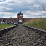 Auschwitz-Birkenau last minute guided Tour - A Deep Dive into the Auschwitz-Birkenau Tour Experience