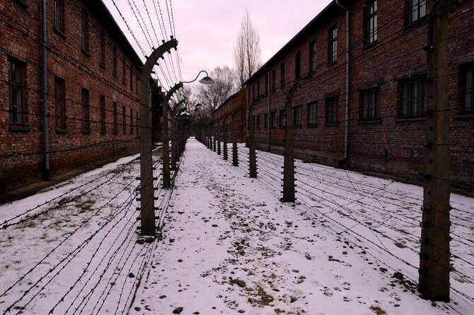Auschwitz Birkenau Memorial and Museum group tour from Krakow - Who Will Benefit Most?