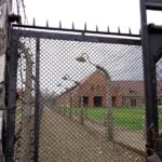Auschwitz-Birkenau Museum Half-Day Bus Tour from Krakow - Practical Tips for Travelers