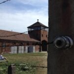 Auschwitz-Birkenau Private Tour from Krakow - The Sum Up
