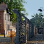 Auschwitz-Birkenau Tour from Katowice with Private Transfers - The Experience: What You Can Expect