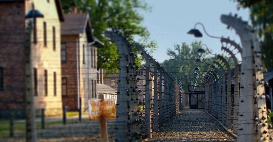 Auschwitz-Birkenau Tour from Katowice with Private Transfers - The Experience: What You Can Expect