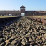 Auschwitz-Birkenau Tour from Krakow with Hotel Pickup - Who Should Consider This Tour?