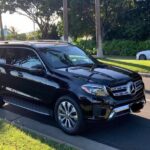 Austin City to Austin-Bergstrom Airport (AUS) - Departure Private Transfer - A Close Look at the Experience