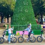Austin Good Vibes E-Bike Tours - Food and Green Spaces