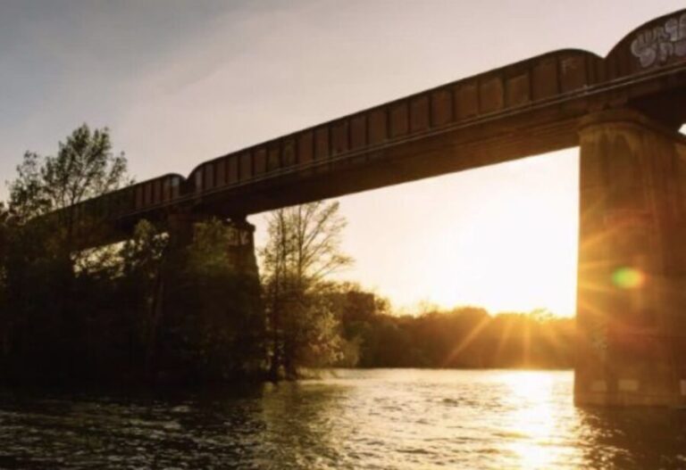 Austin: Sunset Boat Cruise with Bat Watching - The Sum Up