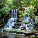 Austins Enchanting Walking Tour of European Explorers Dream - What to Expect from Your Walking Experience