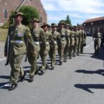 Australian Battlefields Private Tour in Flanders from Bruges - Final Thoughts: Who Will Appreciate This Tour?