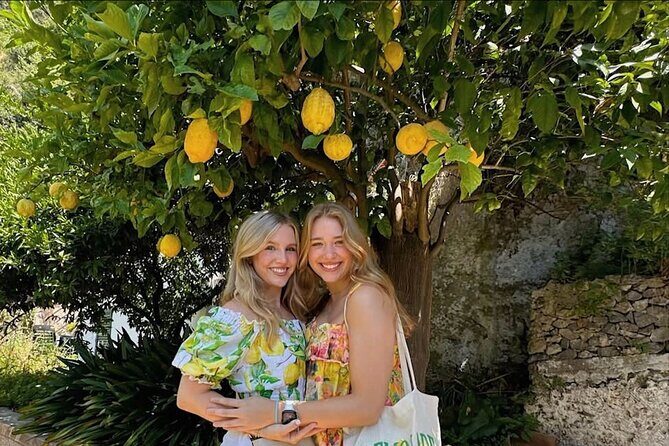 Authentic Amalfi Lemon Tour & Tasting in the Historical Garden - Who Is This Tour For?