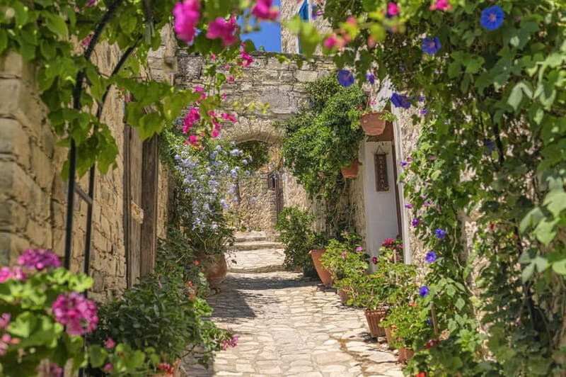 Authentic Cyprus with a Polish-speaking Guide - What to Expect: An In-Depth Look at the Day’s Highlights