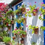 Authentic Patios of Cordoba Guided Tour - Final Thoughts: Is This Tour For You?