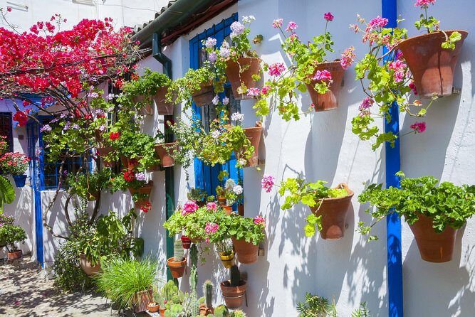 Authentic Patios of Cordoba Guided Tour - Final Thoughts: Is This Tour For You?