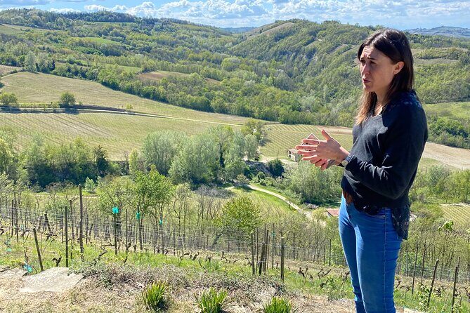 Authentic Piedmont wine tour with a local Sommelier - The Value of This Tour