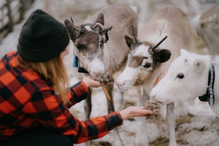 Authentic Reindeer Experience, Ice Fish & Lunch in the Wild - Frequently Asked Questions