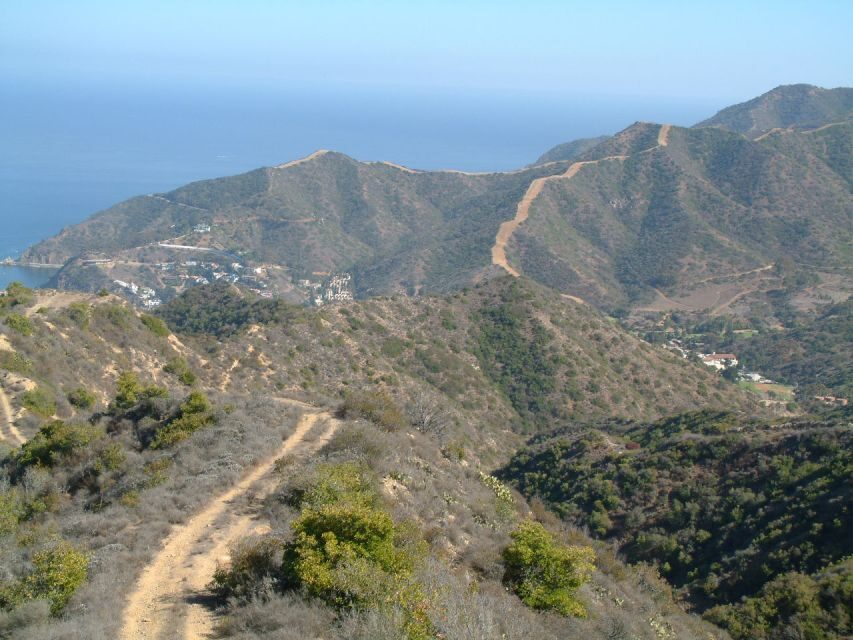 Avalon, Catalina Island: 2-Hour Inside Adventure Tour - Who Should Consider This Tour?