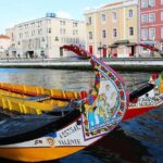 Aveiro and Coimbra from Porto with Moliceiro Boat Trip - Who Should Consider This Tour?