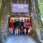 Avenue of the Giant Redwood Private 1 day Tour from San Francisco - The Sum Up: Is This Tour Worth It?