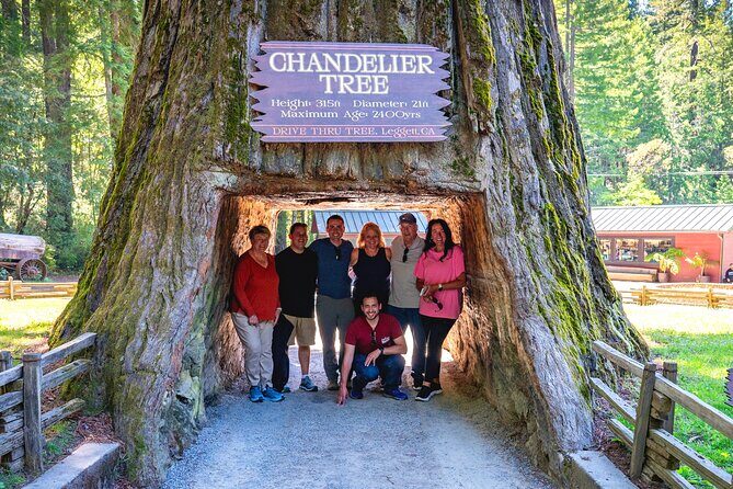 Avenue of the Giant Redwood Private 1 day Tour from San Francisco - The Sum Up: Is This Tour Worth It?