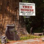 Avenue of the Giants Redwoods private 2-day tour +1 night hotel - The Value of the Experience