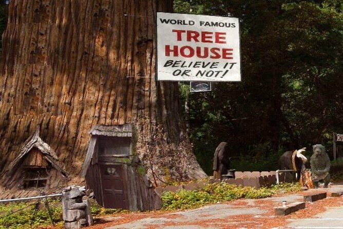 Avenue of the Giants Redwoods private 2-day tour +1 night hotel - The Value of the Experience