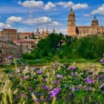 Avila and Salamanca a day between history and walls from Madrid - Authenticity and Cultural Experience