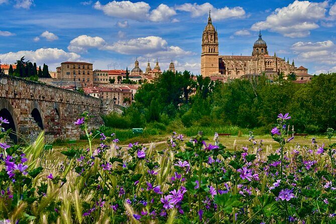 Avila and Salamanca a day between history and walls from Madrid - Authenticity and Cultural Experience