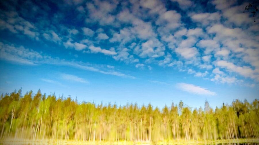 Awakening five senses in Finnish Nature (+traditional sauna) - End in a Smoke Sauna