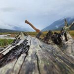 Axe Throwing - 60 minute Experience - Introducing the Axe Throwing Experience in Skagway