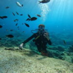 Ayia Napa: Beginners Discover Scuba Diving Experience - The Nuts and Bolts