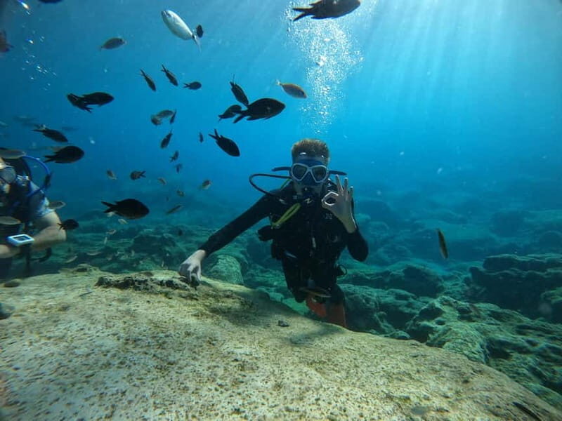 Ayia Napa: Beginners Discover Scuba Diving Experience - The Nuts and Bolts