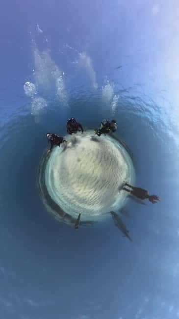 Ayia Napa: Musan Underwater Museum Scuba Dive with Transfer - An In-Depth Look at the Musan Underwater Museum Experience
