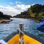 Azores Marine Birdwatching Expedition w/ Biologist Guide - The Value of the Experience