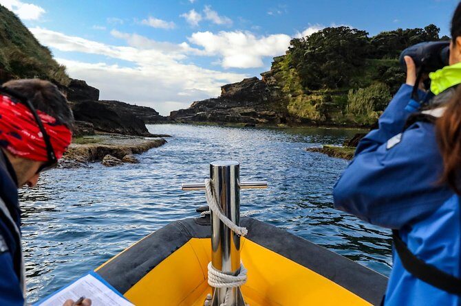 Azores Marine Birdwatching Expedition w/ Biologist Guide - The Value of the Experience
