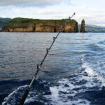Azores: Ponta Delgada Sport Fishing Private Tour - Final Thoughts