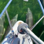 Backcountry Catamaran Bayside Sailing in Key Largo - Detailed Breakdown of the Itinerary